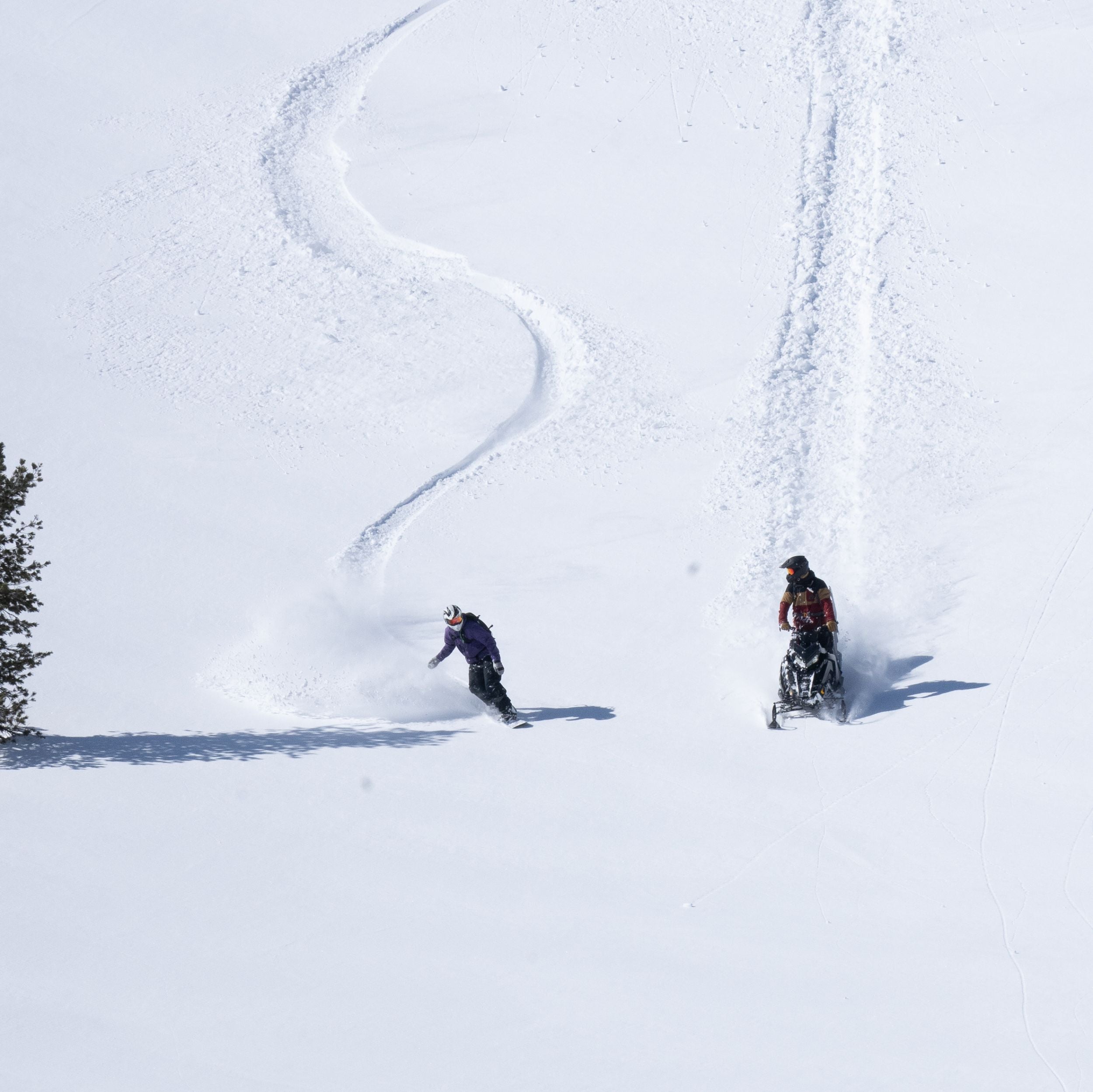 25/26 Snowboard Line – Telos Snowboards